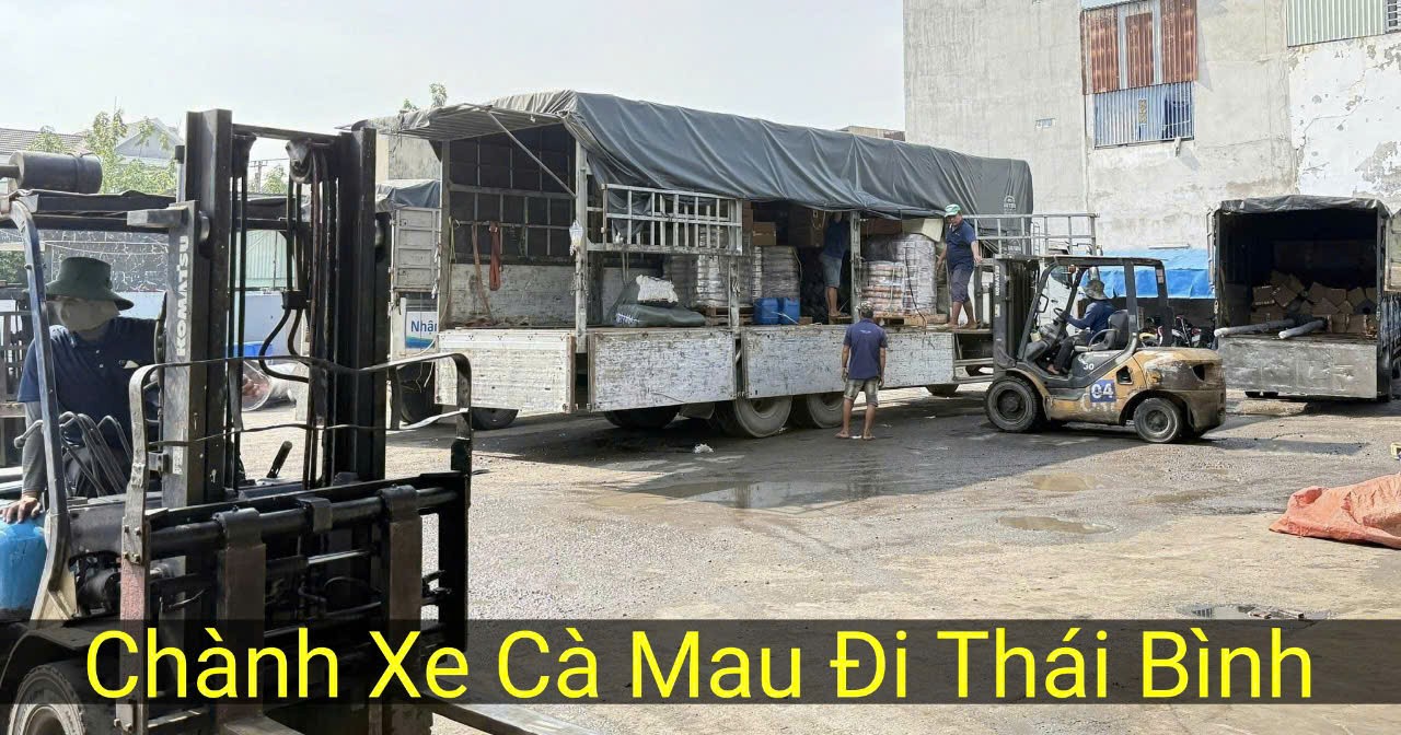 Chành Xe Cà Mau Đi Thái Bình - Tư vấn 24/7